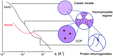 Revisiting the interpretation of casein micelle SAXS data - Soft Matter ...