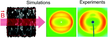 Anisotropic magnetic particles in a magnetic field - Soft Matter (RSC ...
