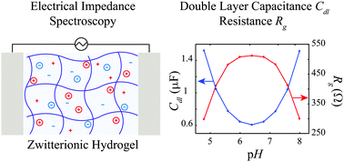 A mathematical model for electrical impedance spectroscopy of ...