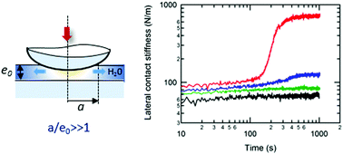 Poroelastic indentation of mechanically confined hydrogel layers - Soft ...
