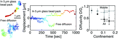 Nanoparticle diffusion in crowded and confined media - Soft Matter (RSC ...