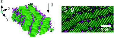Phase diagram of binary colloidal rod-sphere mixtures from a 3D real ...