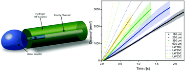 Dynamics of capillary transport in semi-solid channels - Soft Matter ...