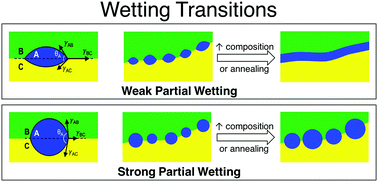Partial to complete wetting transitions in immiscible ternary blends ...