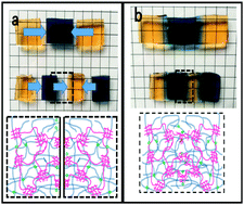 Dual physically crosslinked double network hydrogels with high ...