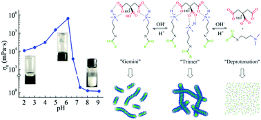 A pH-responsive wormlike micellar system of a noncovalent interaction ...