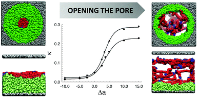 Flow and aggregation of rod-like proteins in slit and cylindrical pores ...