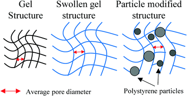Swelling-induced structural changes and microparticle uptake of gelatin ...