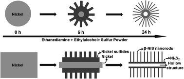Single-crystal β-NiS nanorod arrays with a hollow-structured Ni3S2 ...
