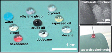 Conformable superoleophobic surfaces with multi-scale structures on ...