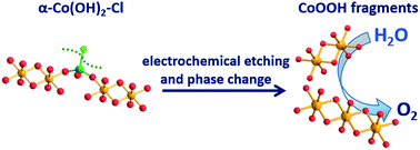 Electrochemical etching of α-cobalt hydroxide for improvement of oxygen ...