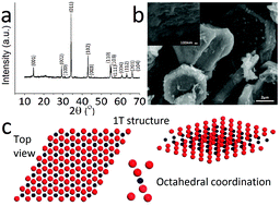 Synthesis, stability, and intrinsic photocatalytic properties of ...