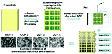 A facile construction of gradient micro-patterned OCP coatings on ...