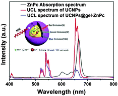UCNPs@gelatin–ZnPc nanocomposite: synthesis, imaging and anticancer ...