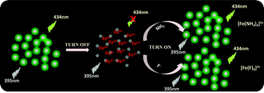 Carbon nanoparticles for ferric ion detection and novel HFCNs–Fe3 ...