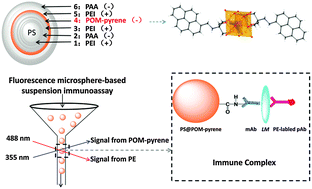 Layer-by-layer assembly of polyoxometalate–pyrene-decorated fluorescent ...