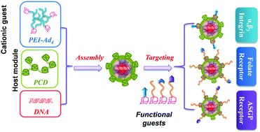 A facile modular approach toward multifunctional supramolecular ...