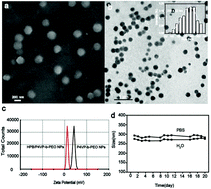 Heteropoly blue doped polymer nanoparticles: an efficient theranostic ...