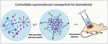 Cyclodextrin-based supramolecular nanoparticles for biomedical ...