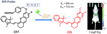 A NIR fluorescent probe for the detection of fluoride ions and its application in in vivo ...