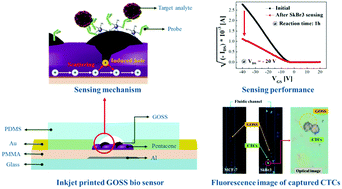 Highly selective organic transistor biosensor with inkjet printed ...