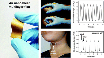 Highly sensitive, tunable, and durable gold nanosheet strain sensors ...