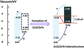 Facile in situ synthesis of dendrite-like ZnO/ZnTe core/shell nanorod ...