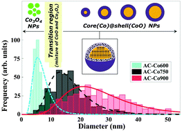 Disentangling magnetic core/shell morphologies in Co-based ...