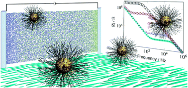 Nanoparticles dispersed in liquid crystals: impact on conductivity, low ...