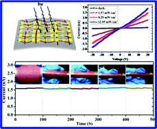 All solution-processed large-area patterned flexible photodetectors ...