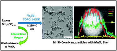 Synthesis of colloidal MnSb nanoparticles: consequences of size and ...