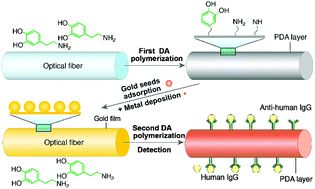 Bioinspired fabrication of optical fiber SPR sensors for immunoassays ...