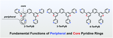 Fundamental functions of peripheral and core pyridine rings in a series ...