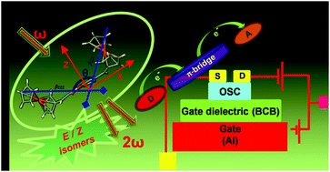 Multifunctional geometrical isomers of ferrocene-benzo[1,2-b:4,5-b ...