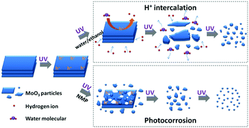 Preparation of quantum dots from MoO3 nanosheets by UV irradiation and ...
