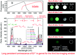 Near-infrared long persistent luminescence of Er3+ in garnet for the ...