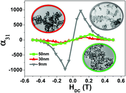 Magnetoelectric Nanoparticles Incorporated Biomimetic, 55% OFF