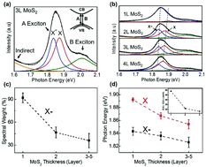 Modulation doping of transition metal dichalcogenide/oxide ...