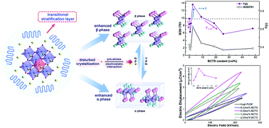 A distinct mutual phase transition in a new PVDF based lead-free ...