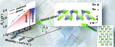 Widely tunable and anisotropic charge carrier mobility in monolayer tin ...