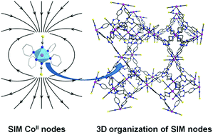 Single-molecule magnetism arising from cobalt(ii) nodes of a ...