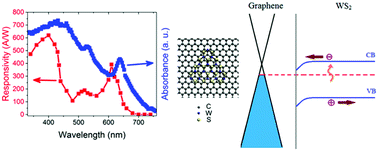 Highly responsive and broadband photodetectors based on WS2–graphene ...