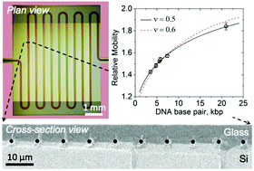 On-chip hydrodynamic chromatography of DNA through centimeters-long ...