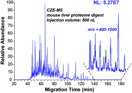 Capillary zone electrophoresis–mass spectrometry with microliter-scale ...