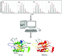 Bottom-up hydrogen deuterium exchange mass spectrometry: data analysis ...
