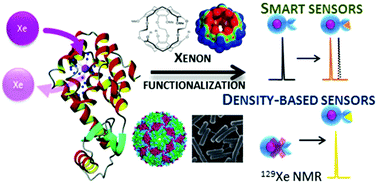 129Xe NMR-based sensors: biological applications and recent methods ...