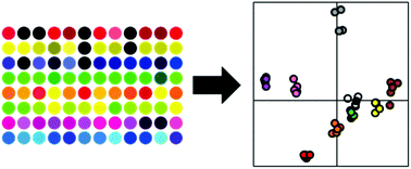 Fluorescent sensing arrays for cations and anions - Analyst (RSC ...