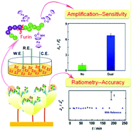A ratiometric electrochemical strategy for sensitive determination of ...