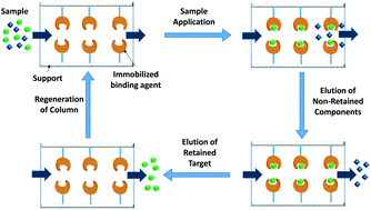 High performance affinity chromatography and related separation methods for the analysis of ...