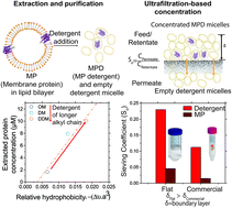 Improving extraction and post-purification concentration of membrane ...